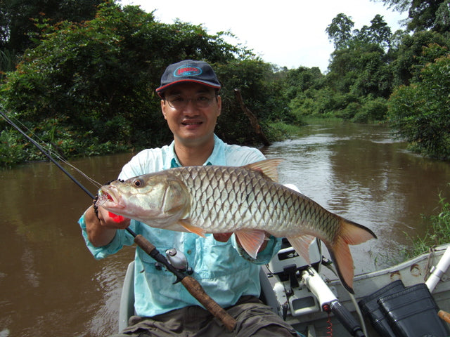 Sebarau Fishing Guide – Halco Lures USA