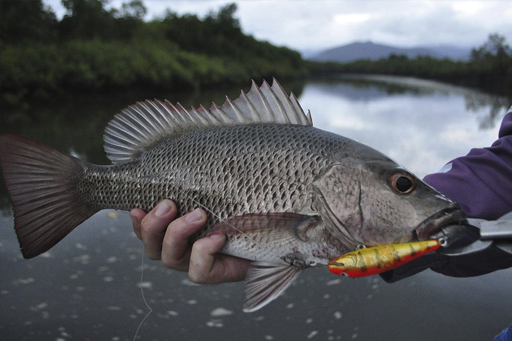 Timber vs Plastic Body Lures- Tilsan Lures – Halco Lures USA