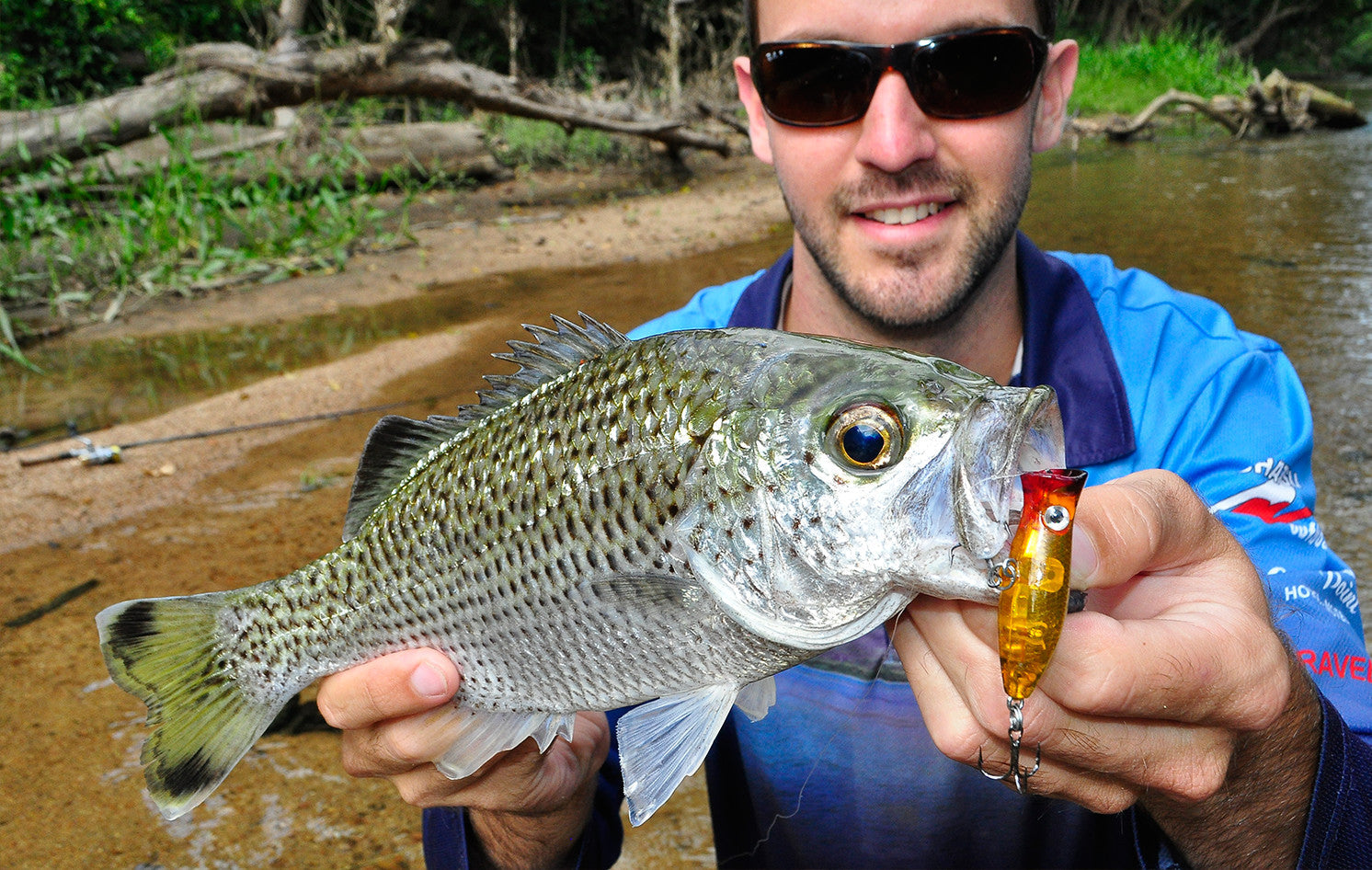 Siver and Golden Perch Fishing Guide – Halco Lures USA