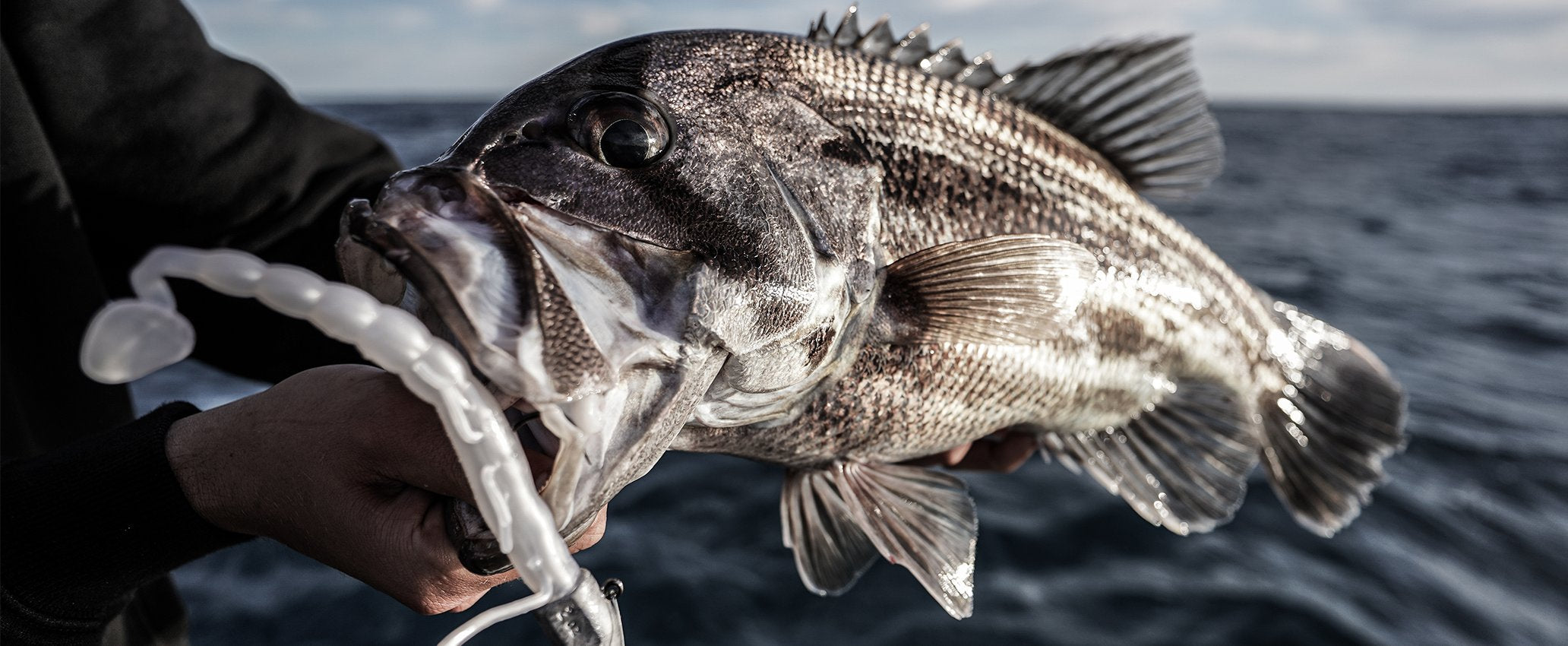 Flick Stick – Halco Lures USA