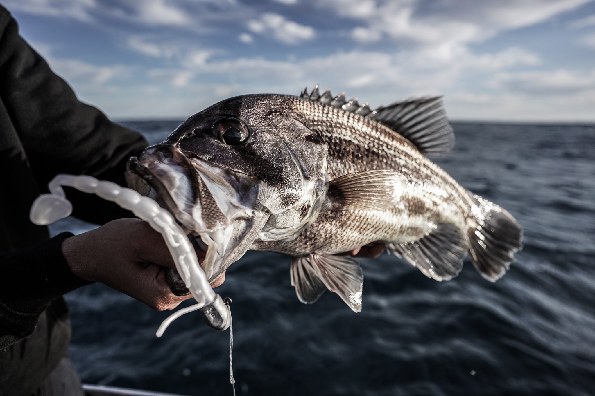 Madeye Soft Plastics – Halco Lures USA