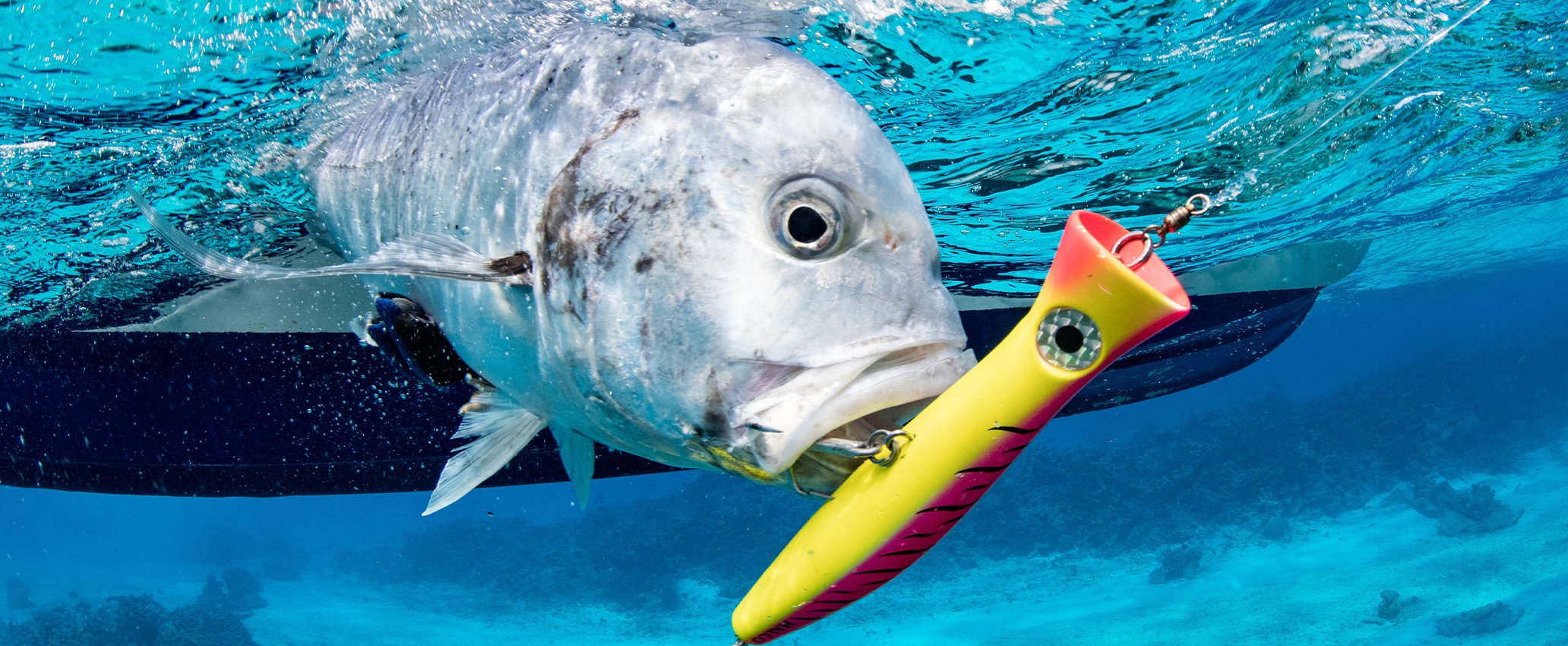 Halco Roosta Popper – Halco Lures USA